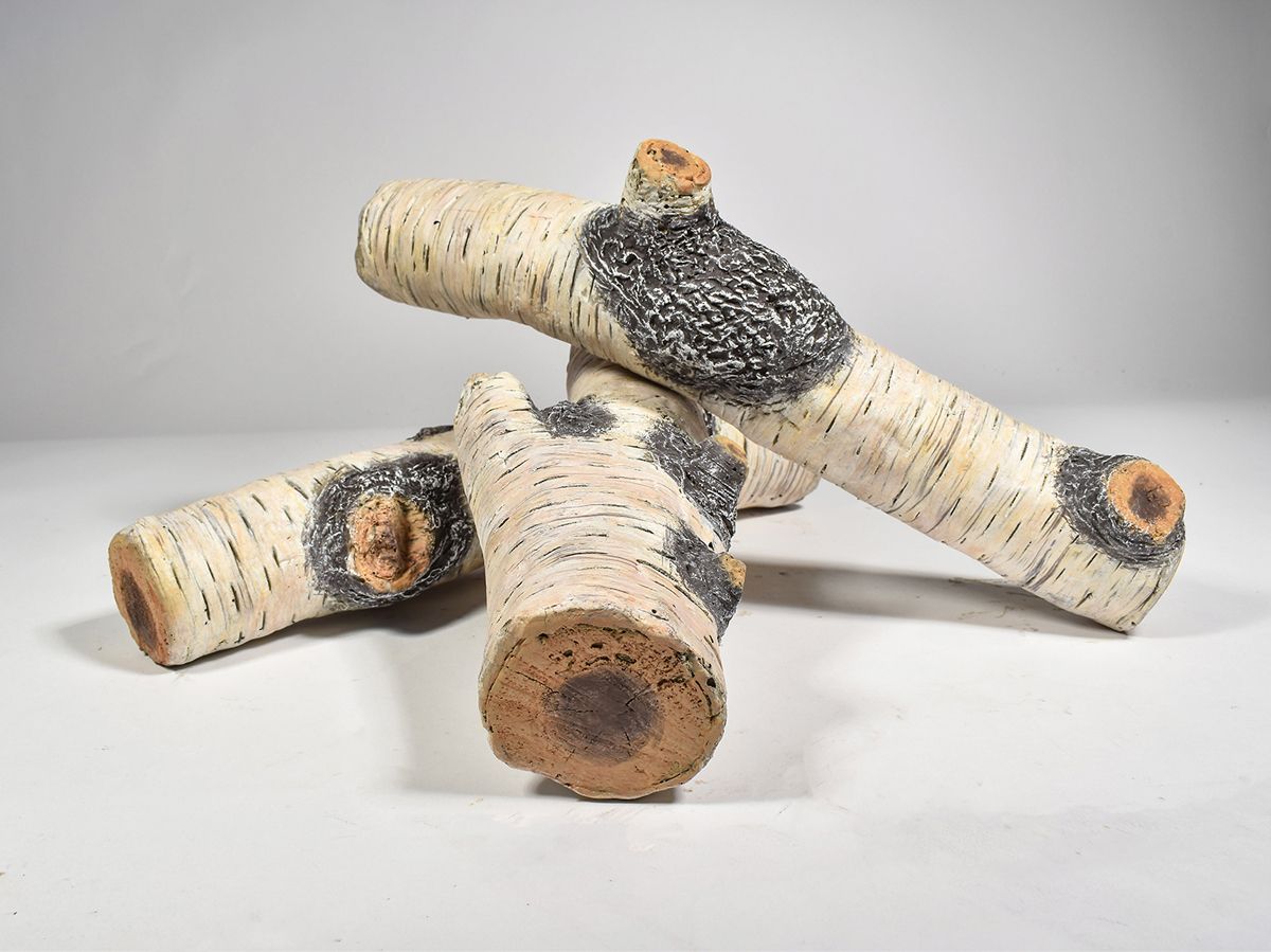 Enhance A Fire 13-14" 3-Piece Canoe Birch Burncrete Branches for Gas F ...