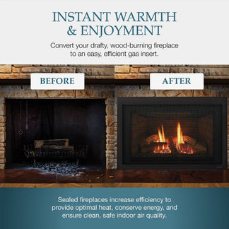 Majestic Jasper 30" Traditional Direct Vent Propane Gas Fireplace Inse ...