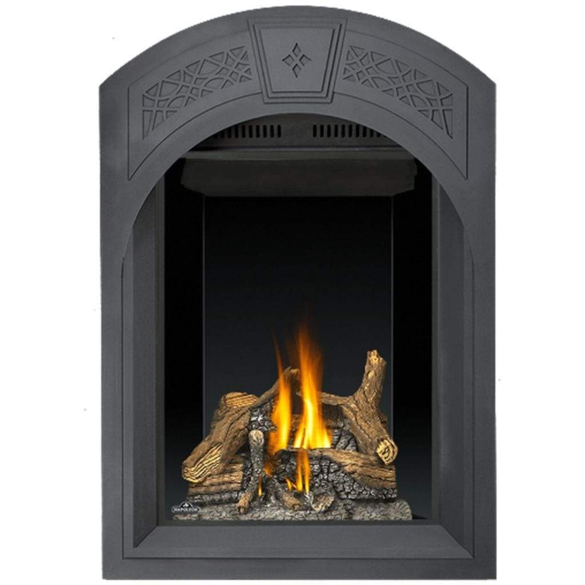 NAPOLEON 28" Park Avenue Direct Vent Gas Fireplace | GD82NT-PAESB – US ...