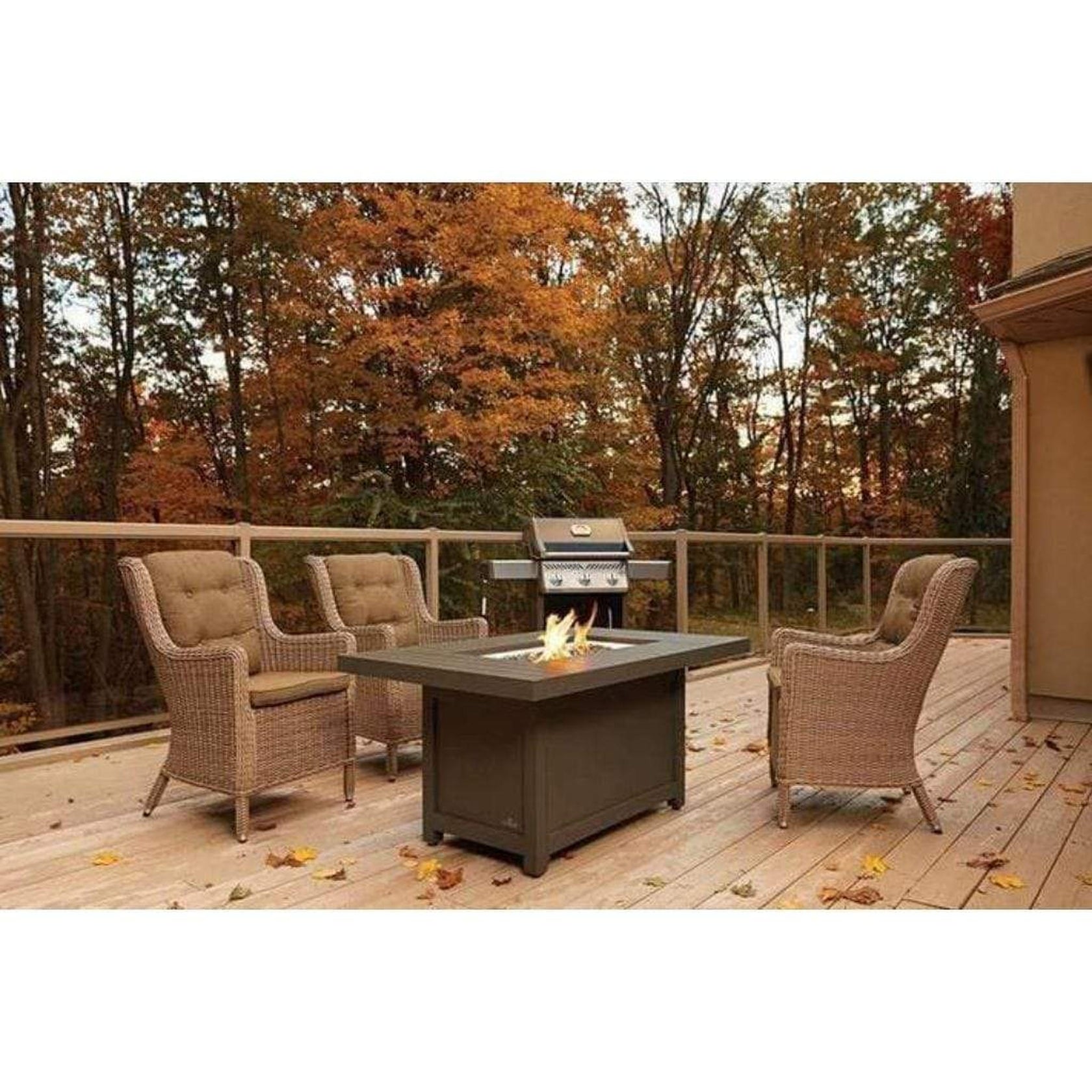 NAPOLEON 52" Hamptons Rectangle Patioflame Table | HAMP1-GY – US ...