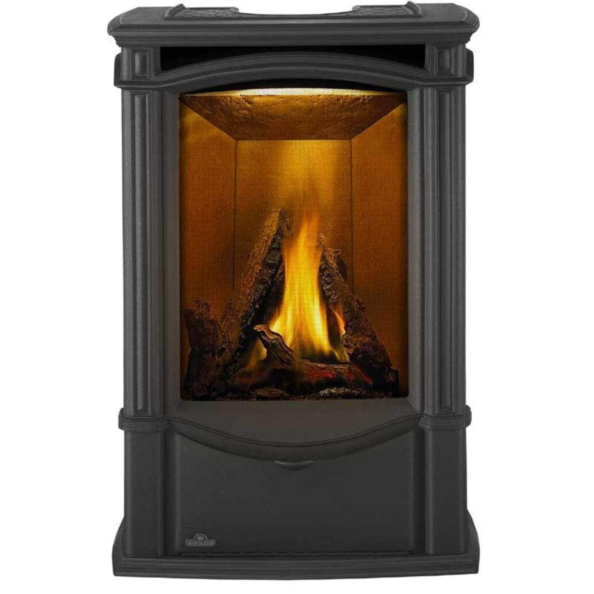 NAPOLEON 24" Castlemore Direct Vent Cast Iron Gas Stove | GDS26N – US ...