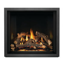 Napoleon Elevation X 36" Electronic Ignition, Natural Gas Direct Vent ...